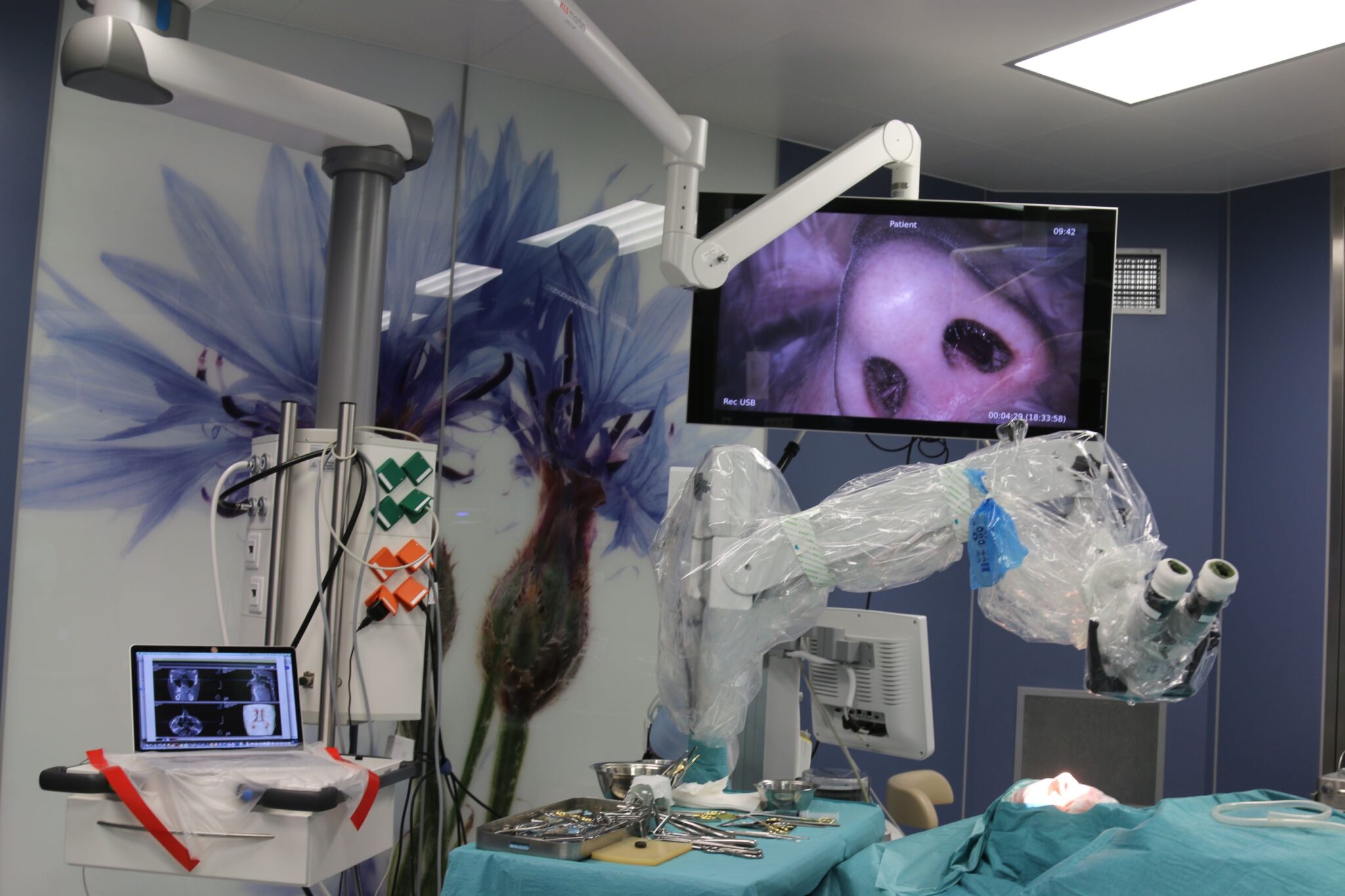 Ninaplastika - Dr. Margus Luht